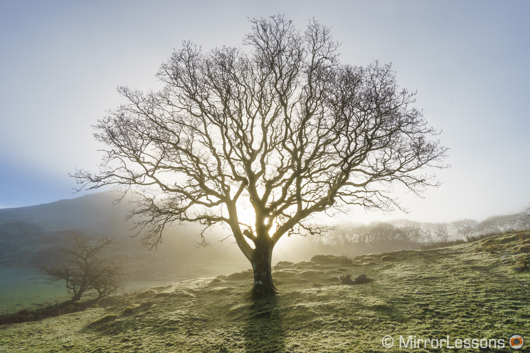 The Best Sony A7 Lenses (A7, A7r, A7s, A7II, A7rII, A7sII, A7rIII ...